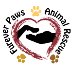 Furever Paws Animal Rescue and Sanctuary - Furever Paws Animal Rescue